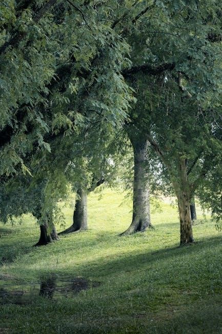 Denture Gingival Shade Guide - Expert Guide for Perfect Matches